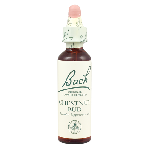 chestnut-bud-bach-flower-essence - Dr. Tas, Naturopathic Doctor ...